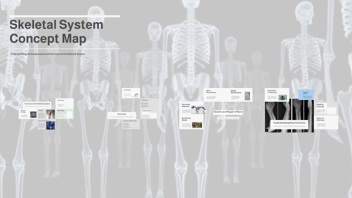 Skeletal System Concept Map by mary ingalls on Prezi