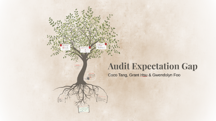 Audit Expectation Gap by Gwendolyn Foo on Prezi