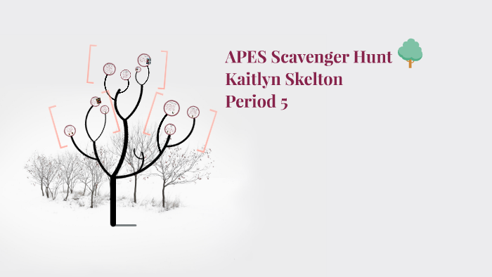 APES Scavenger Hunt by Kaitlyn Skelton on Prezi