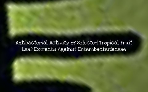 defense powerpoint by Jion Dimson on Prezi