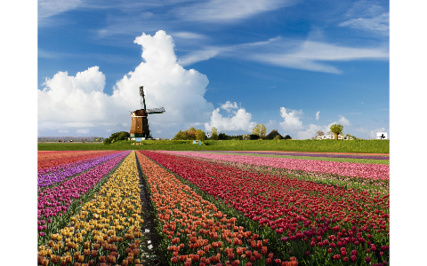 Nederland by Arjen Dijkstra