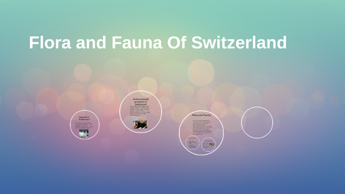 Flora and Fauna Of Switzerland by Jorge Gonzalez on Prezi