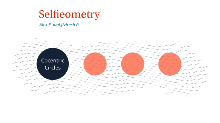 Selfieometry Presentation by Jivitesh Praveen on Prezi