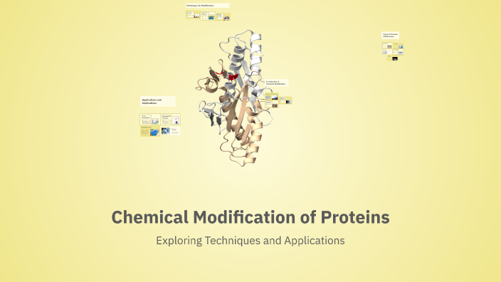 Chemical Modification of Proteins by Mohammed Abd Elmonem on Prezi