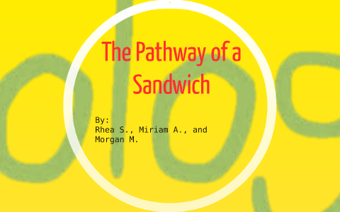 The Pathway of a Sandwich by Rhea Schott on Prezi