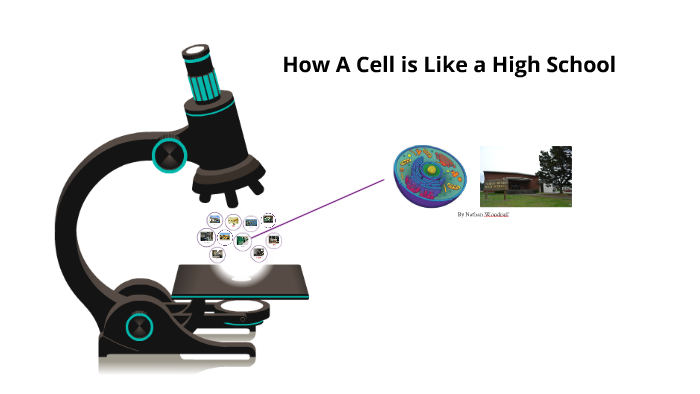 How A Cell is Like a High School by Nathan Woodruff on Prezi
