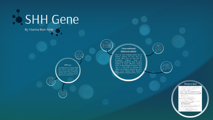 Sonic Hedgehog Gene by Marina Bien-Aime on Prezi