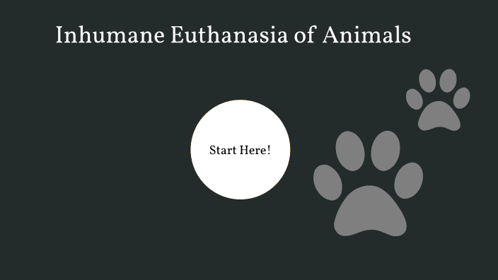 Inhumane Euthanasia of Animals by Abigail Rose on Prezi