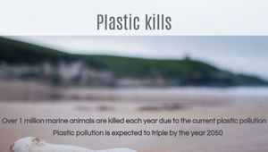 Visual Rhetoric PSA by Eric Solomon on Prezi Design