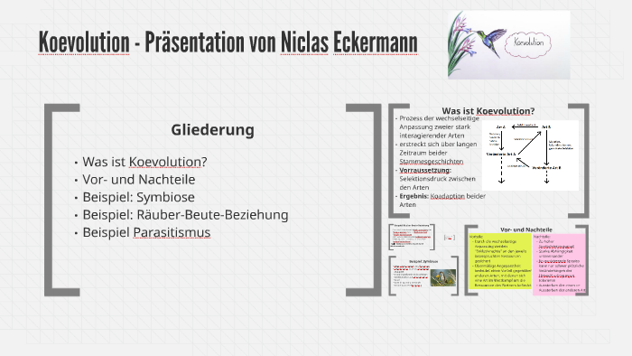 Koevolution - Präsentation von Niclas Eckermann by Niclas Eckermann on ...