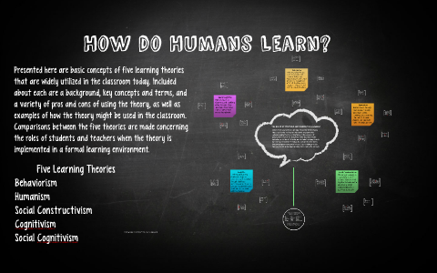 How Do Humans Learn? by Tammy Still on Prezi