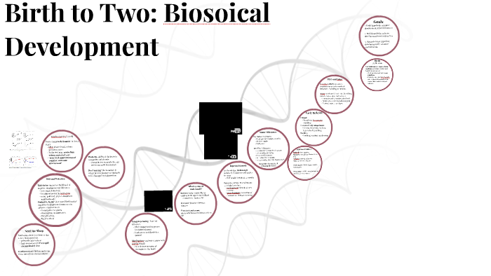 Birth to Two: Biosocial Development by Joe Anistranski on Prezi
