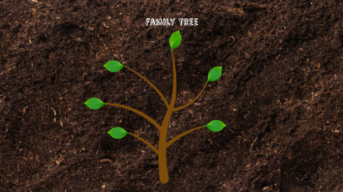 family tree by Juan David Muñoz Espinosa on Prezi