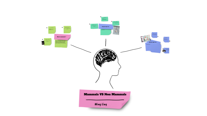 Mammals VS Non Mammals by Teoh Ming Ling on Prezi