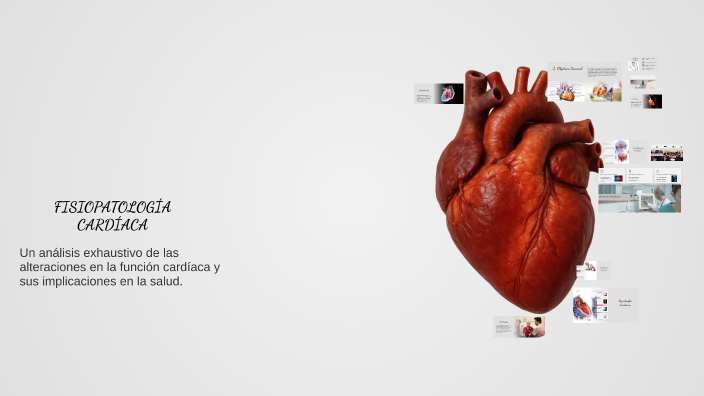 FISIOPATOLOGÍA CARDÍACA Y PRINCIPALES TRASTORNOS DE LA FUNCIÓN CARDÍACA ...