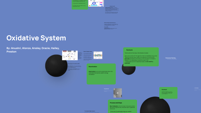 Oxidative System by Hailey Mehta on Prezi