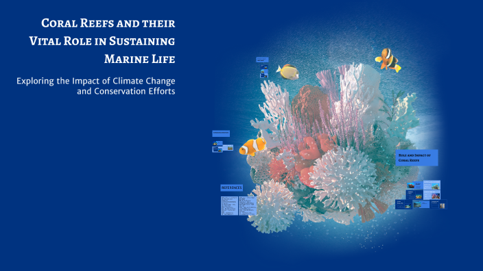 Coral Reefs and their Vital Role in Sustaining Marine Life by Matteo Tedesco on Prezi