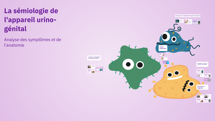 La sémiologie de l'appareil urino-génital by Hiba Rbaiti on Prezi