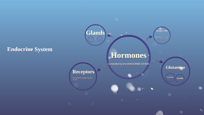 Hormones Concept Map by Bryant Holmes on Prezi