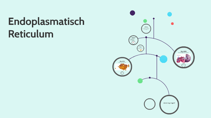 Endoplasmatisch reticulum by Donna van Hooren