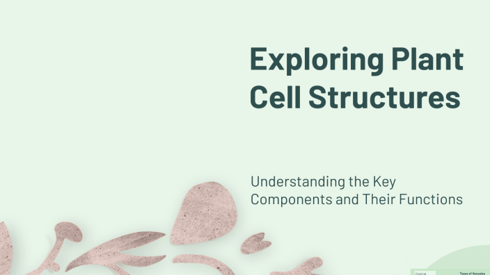 Exploring Plant Cell Structures by Gilbert Gutierrez on Prezi