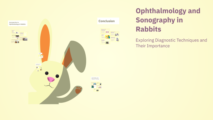 Ophthalmology and Sonography in Rabbits by Negar Evazi on Prezi