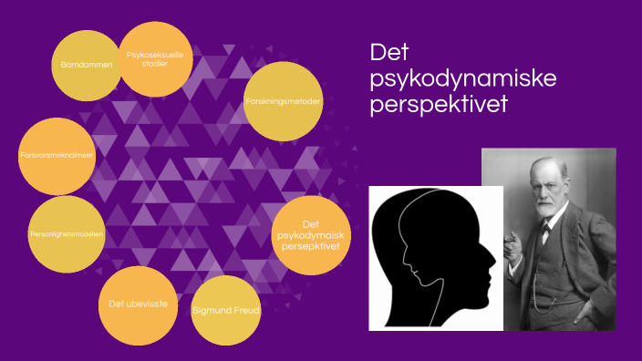 Det psykodynamiske perspektivet by Henrik Skaar on Prezi