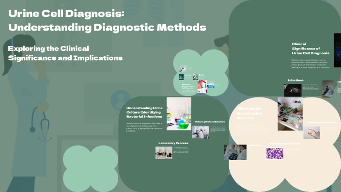 Diagnosis of Rare Cells in Urine by Hang Qian on Prezi