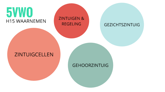 VWO H15 WAARNEMEN by Anne Kuiken on Prezi