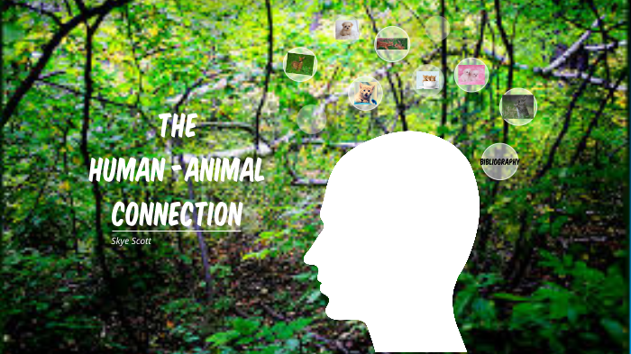 The Animal-Human Connection by skye scott on Prezi