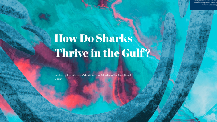 How Do Sharks Thrive in the Gulf? by Joy cunningham on Prezi