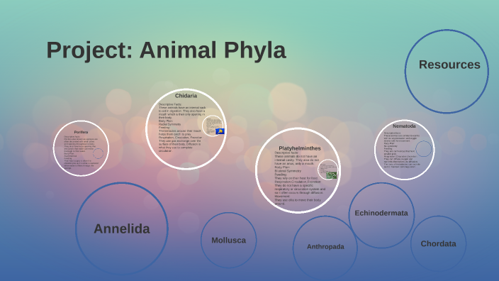Project: Animal Phyla by Tiffany Li on Prezi
