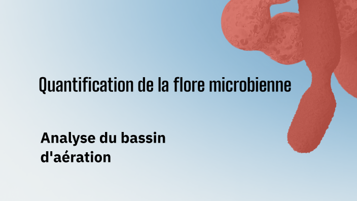 Quantification de la flore microbienne by abdelfetah MAAMRA on Prezi