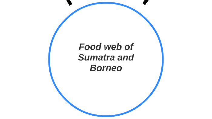 Food web of sumatra and borneo by Ethan Bozzer on Prezi