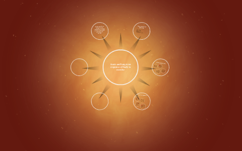 Acute and long term adaptations of body to exercise by Agnieszka ...