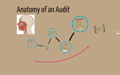 Anatomy of Audit by Nick Popovich on Prezi