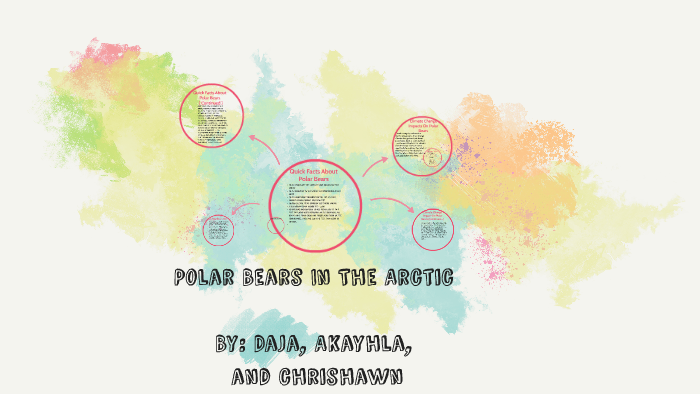 Polar Bears In The Arctic by Daja Warren on Prezi