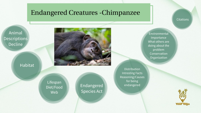 Module Nine Lesson Three Assignment One Part One by Mackenzie Hughes on Prezi