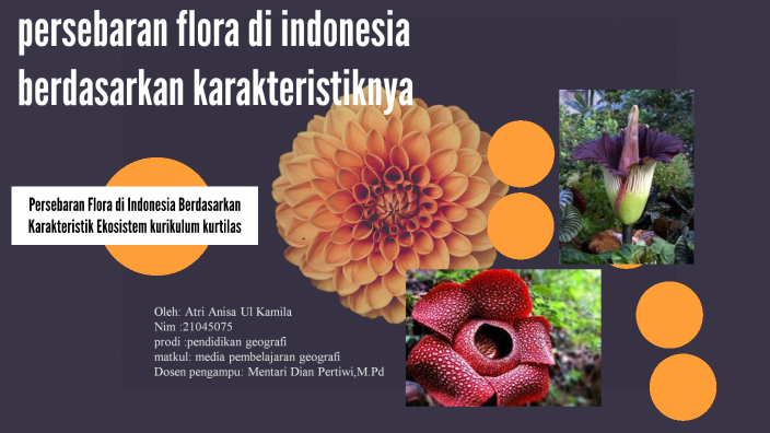persebaran flora di indonesia dan karakteristiknya by atri anisa ul ...