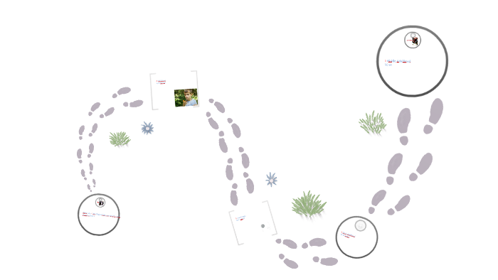 Life Stages and Aspects of Human Growth and Development by Clare ...