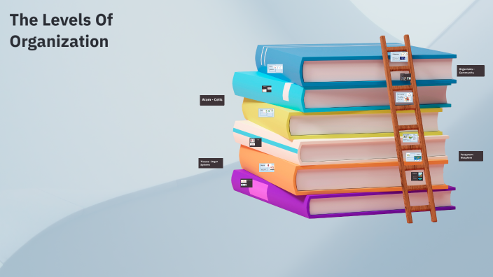 Levels of Organization by Noah Rhodes [STUDENT] on Prezi