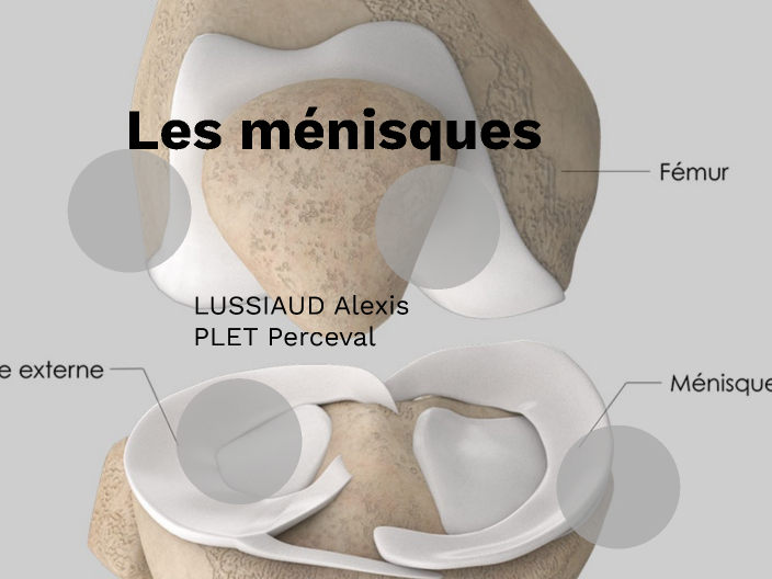 ménisques by alexis LUSSIAUD on Prezi