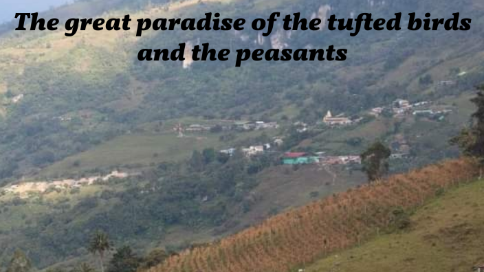 The great paradise of the tufted birds and the peasants by Bibiana DIAZ ...