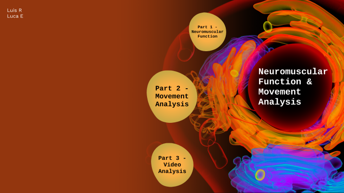 Neuromuscular Function & Movement Analysis by Luca E on Prezi