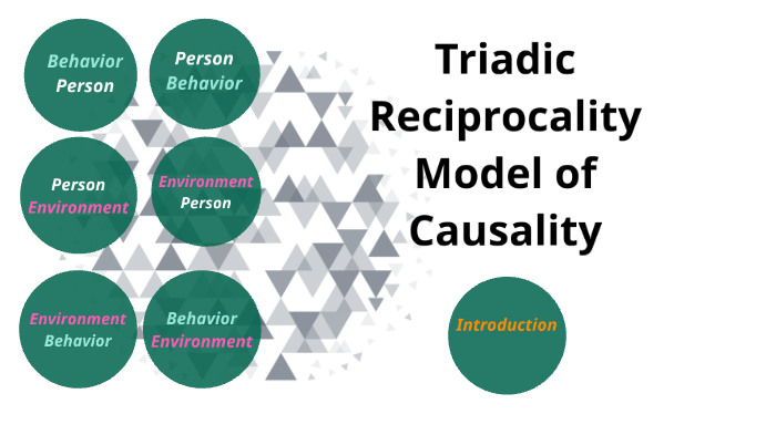 Triadic Reciprocality Model by Meaghan O'Brien on Prezi