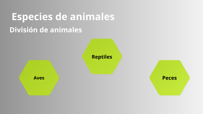 Especies de Animales by Katia Carpio Felix on Prezi