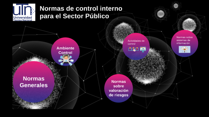 Normas de control interno para el Sector Público by Freddy Conejo Mesen ...