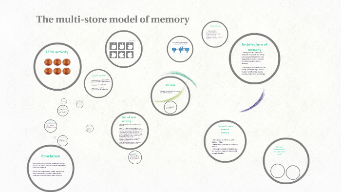 The multi-store model of memory by Erika Payne on Prezi