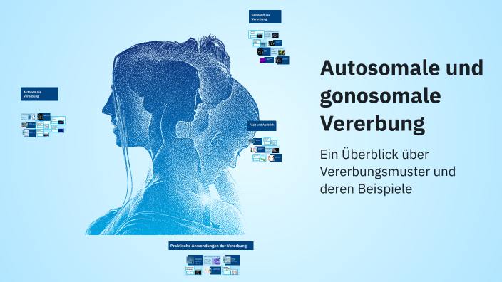 Autosomale und gonosomale Vererbung by Apo Akkan on Prezi