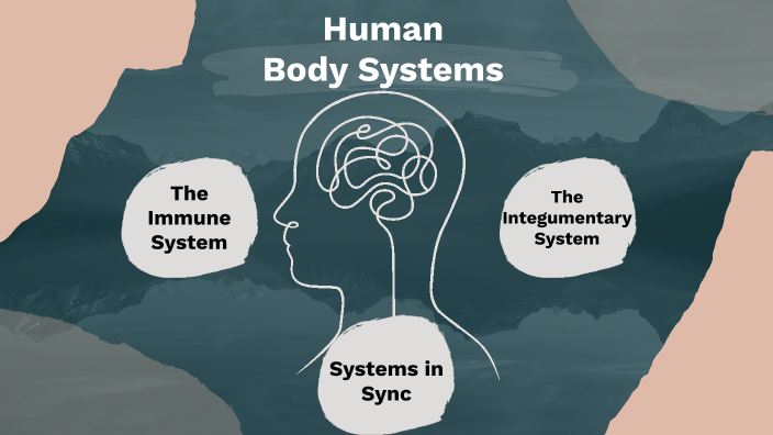 Body Systems Assignment by Bethany Uniacke on Prezi